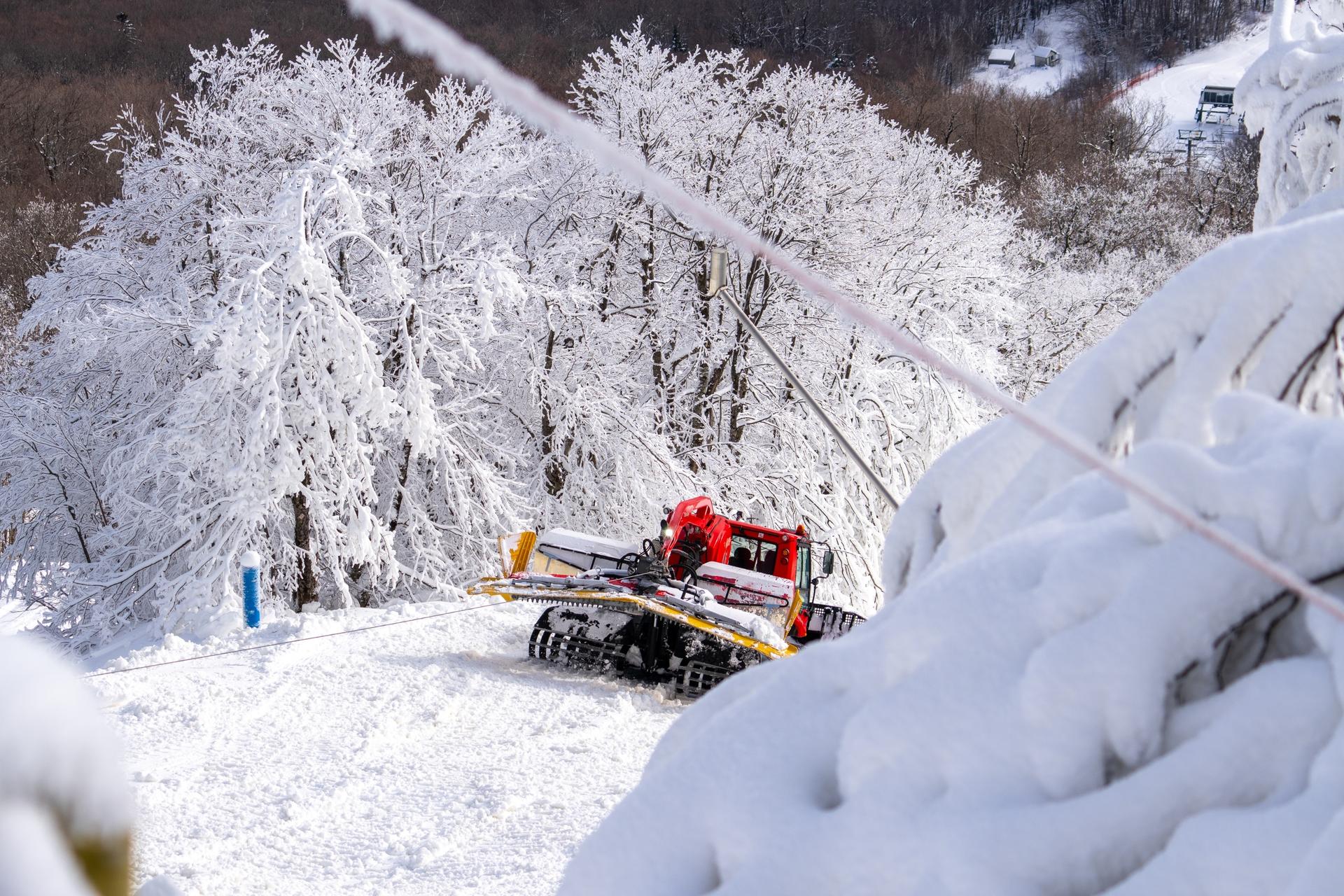 About Bromley - Bromley Mountain Ski Resort