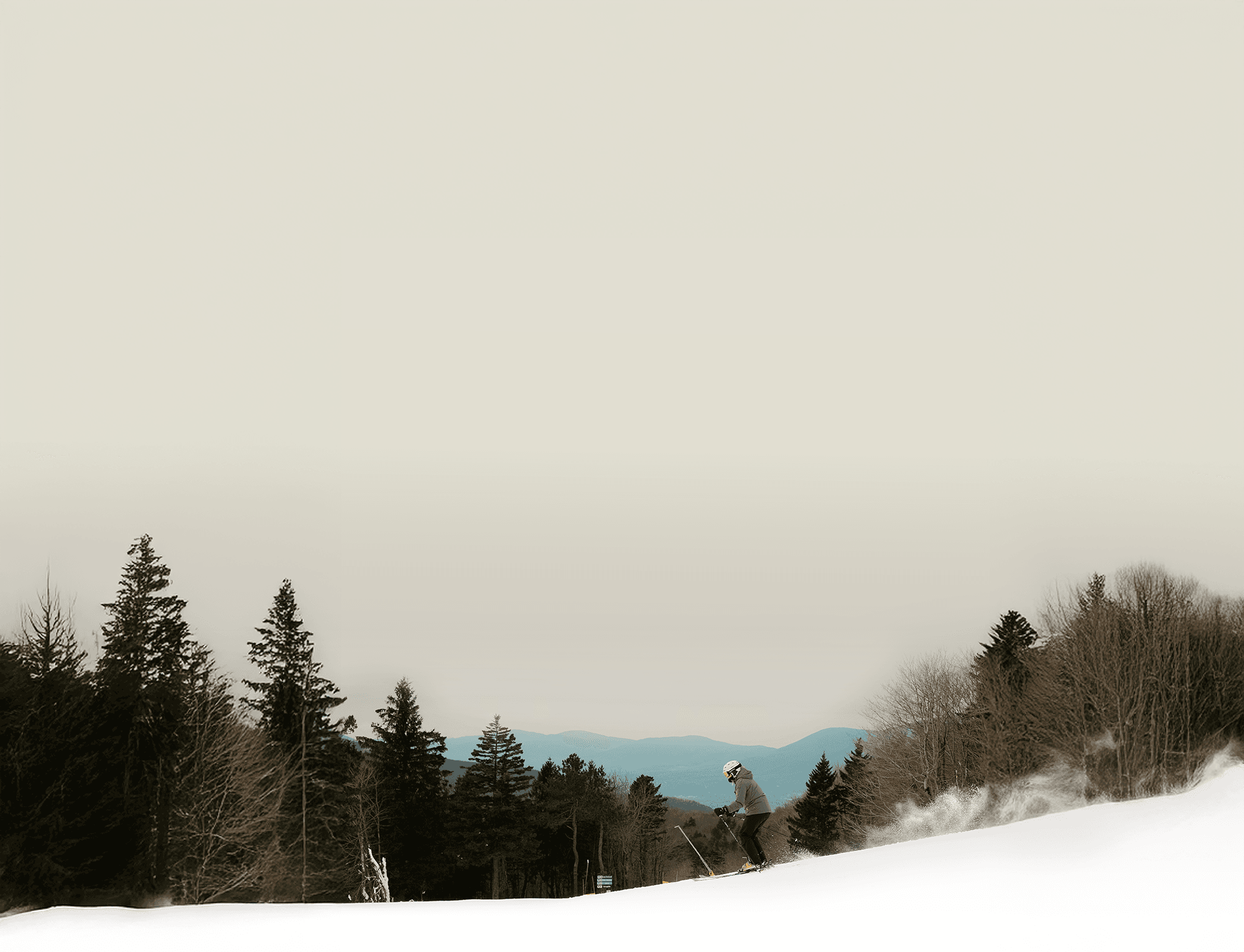 Potter Brothers Ski & Snowboard - Bromley Mountain Ski Resort